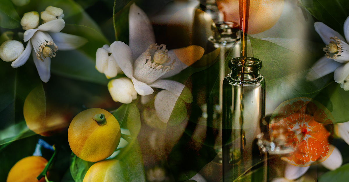 Design Your Own Fragrance - Fresh Collection – The Perfume Studio